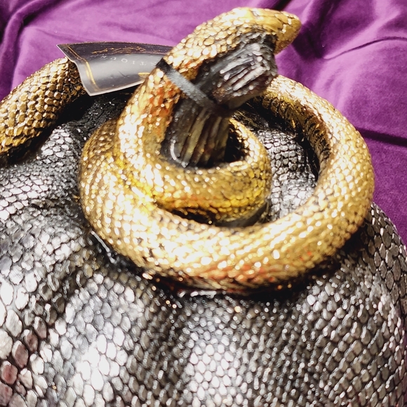 Spooky Night | Holiday | Authentique Spooky Night Snakeskin Pumpkin ...